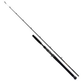 Canne Casting Shimano Beastmaster AX Catfish Vertical Casting Rod