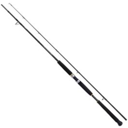 Canne Spinning Shimano Beastmaster AX Pilk Rod