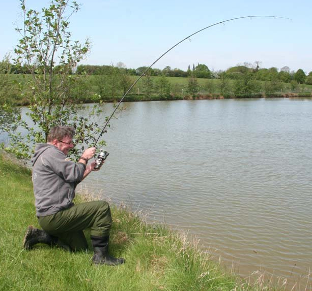 Greys Prodigy Plus 50 Carp Rods