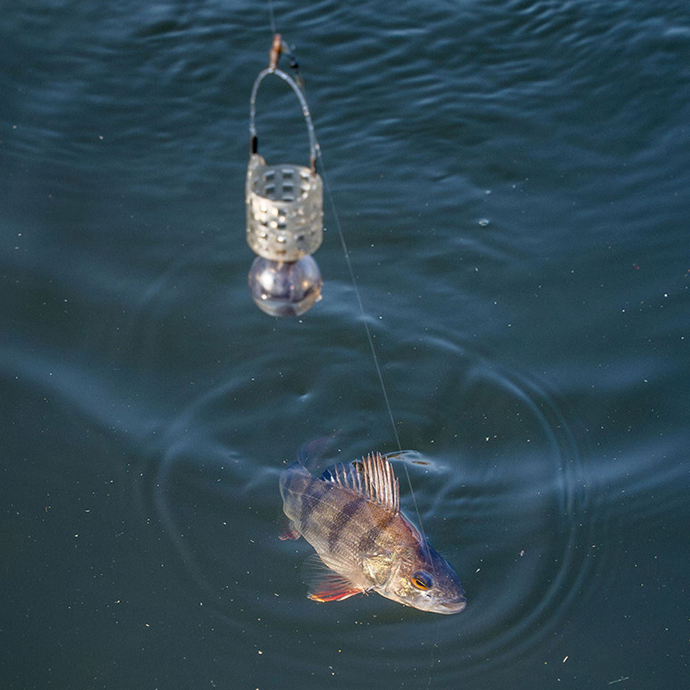 Korum Slow Sinking Feeder