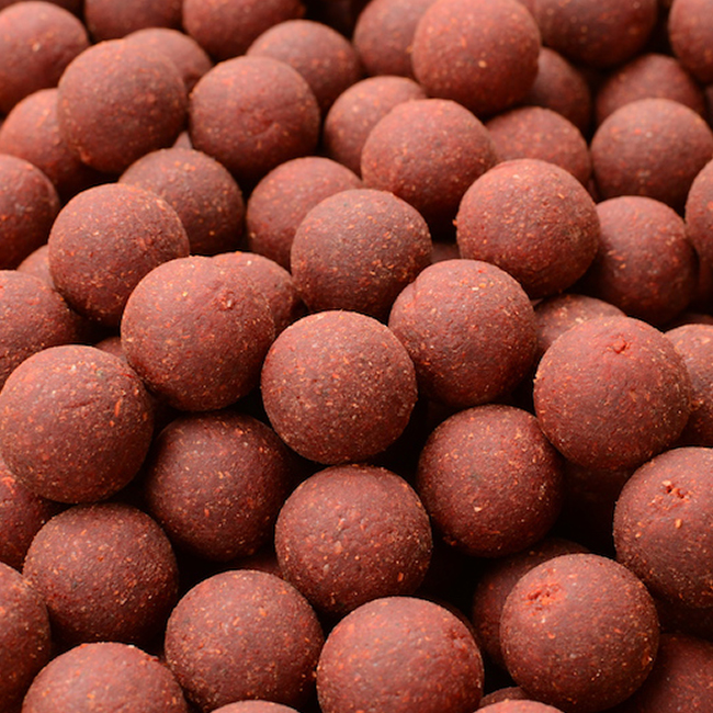 Solar The Original Red Herring Shelf Life Boilies